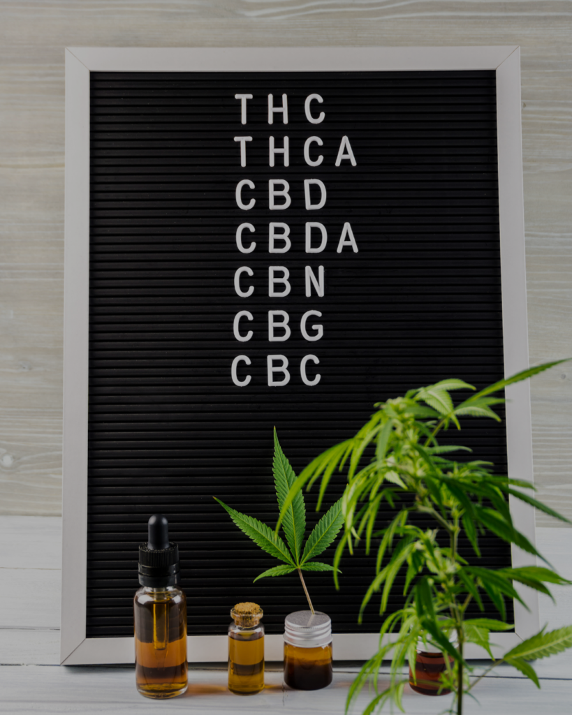 Comparing CBN vs. THC vs. CBD – Cannabis Career Academy